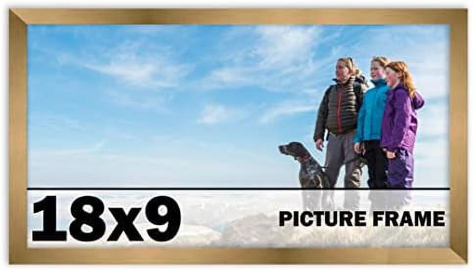 18X9 Frame Bronze Picture Frame - Modern Photo Frame Includes UV Guard ...