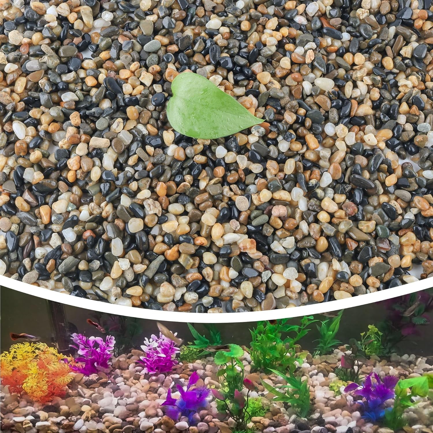 18lb 1/2" Polished Pebbles for Plants Potting,Succulents Aquarium Fish ...