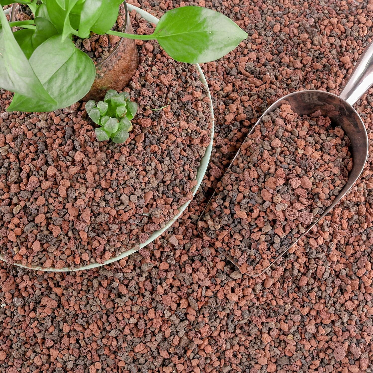 18lb Mix Lava Rocks for Plants - Horticultural Volcanic Rock Gravel for ...