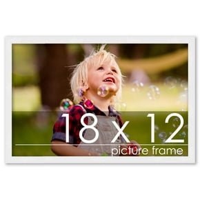 18x12 Poster Frame