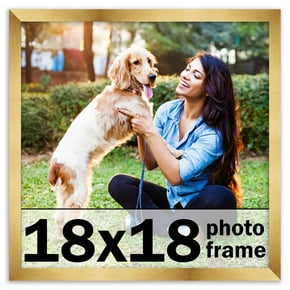 Decorate Your Home with 18x18 Inch Picture and Document Frames