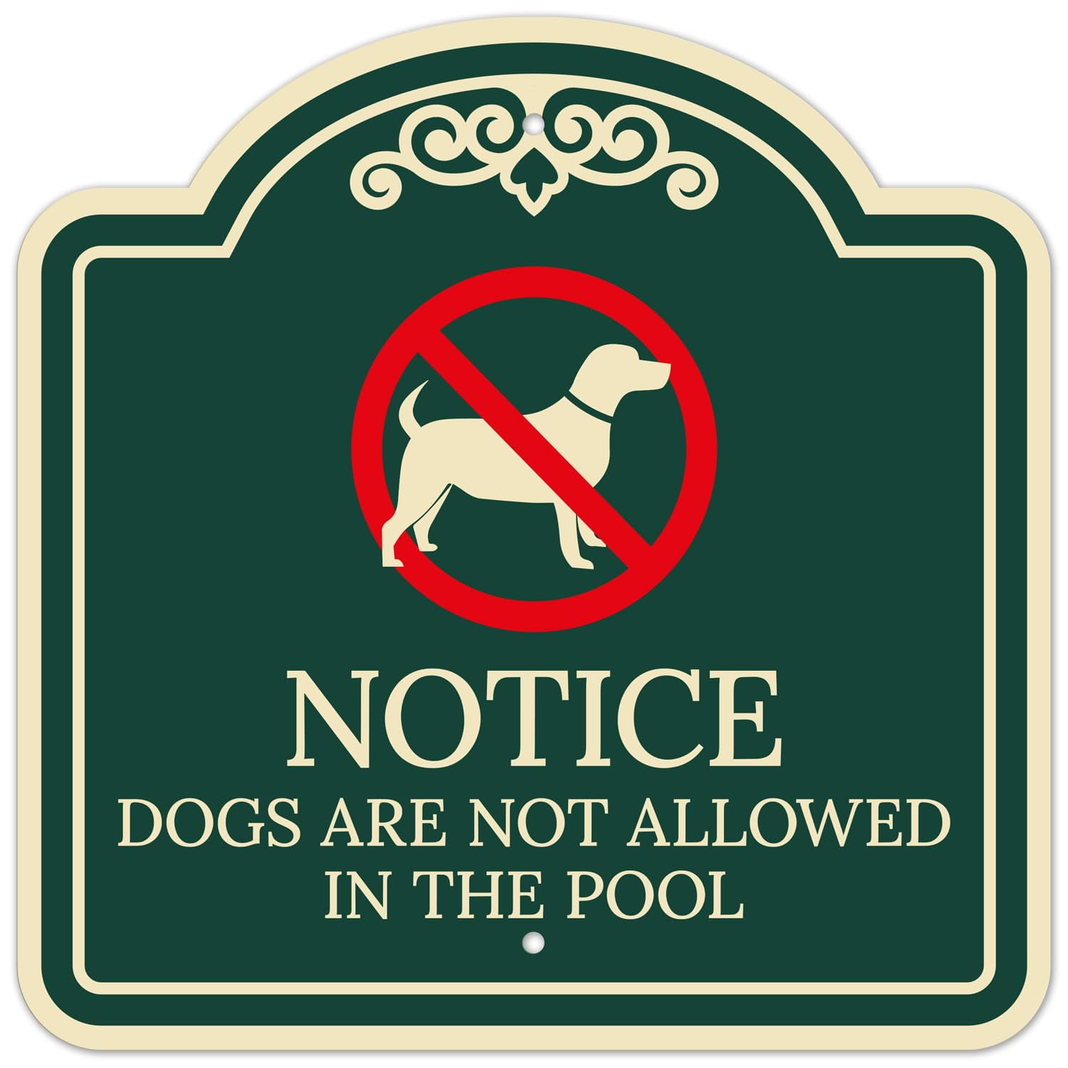 18x18 Inches, Notice Dogs are Not Allowed in The Pool Sign, Green Dark ...