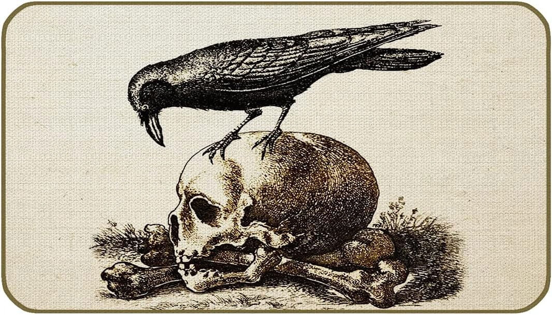 18x30 Inch Crow On A Skull Gothic Macabre Art Decorative Doormat,Gothic ...