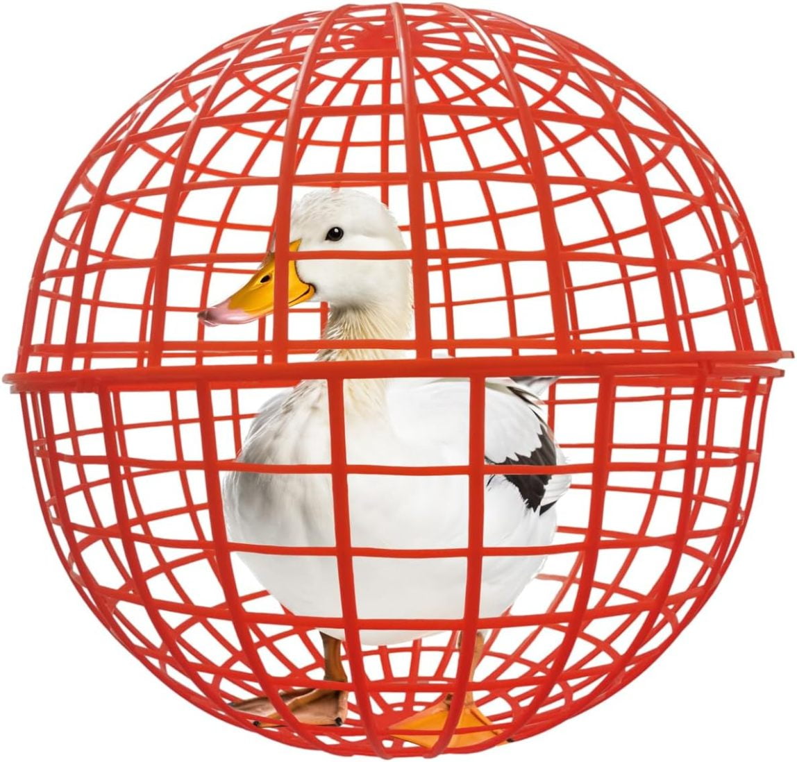 19.6" Pet Removable Safety Cage Chicken Coop Ball Cage Rolling ...