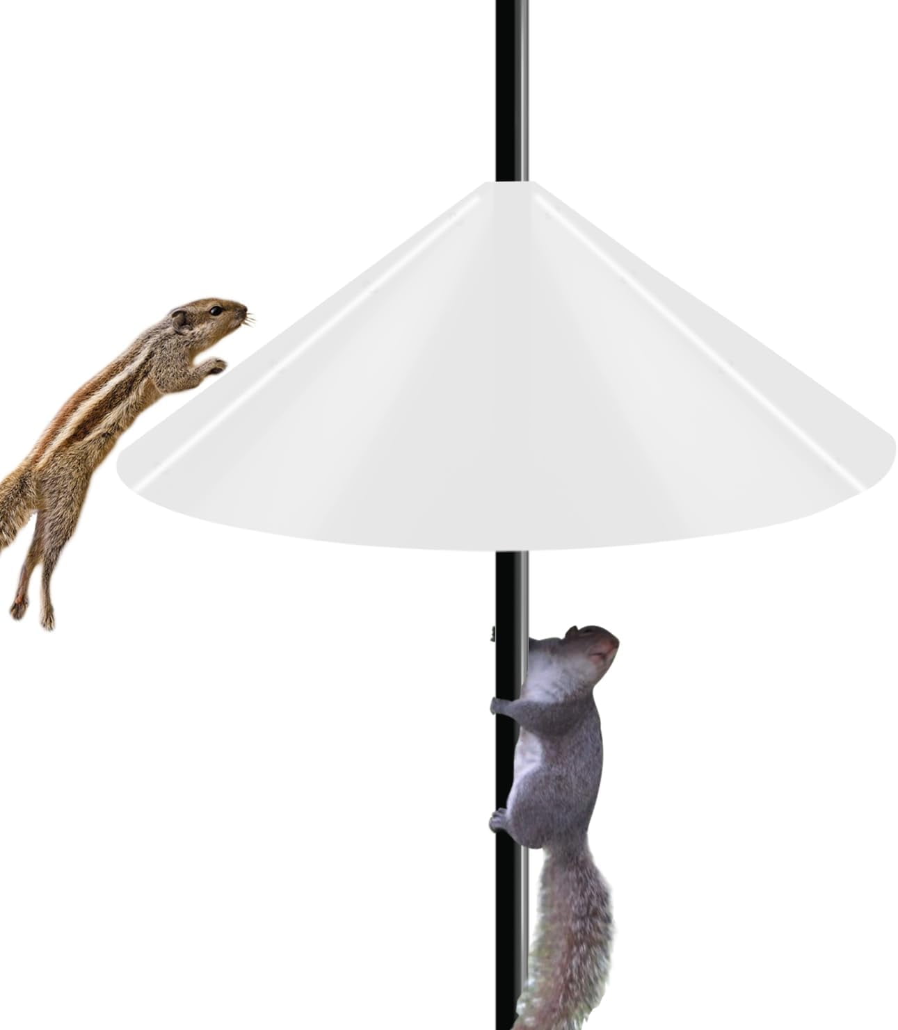 19 Inch Wide Squirrel Baffle for Bird Feeder Pole, Outside Pole Mount ...