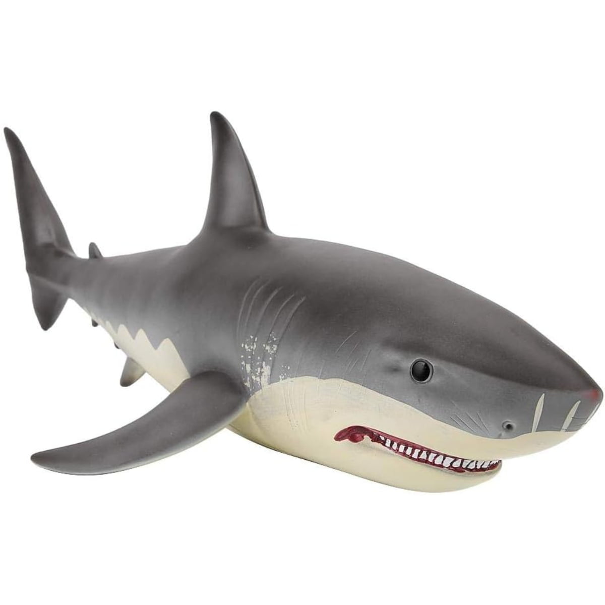 Shark Models