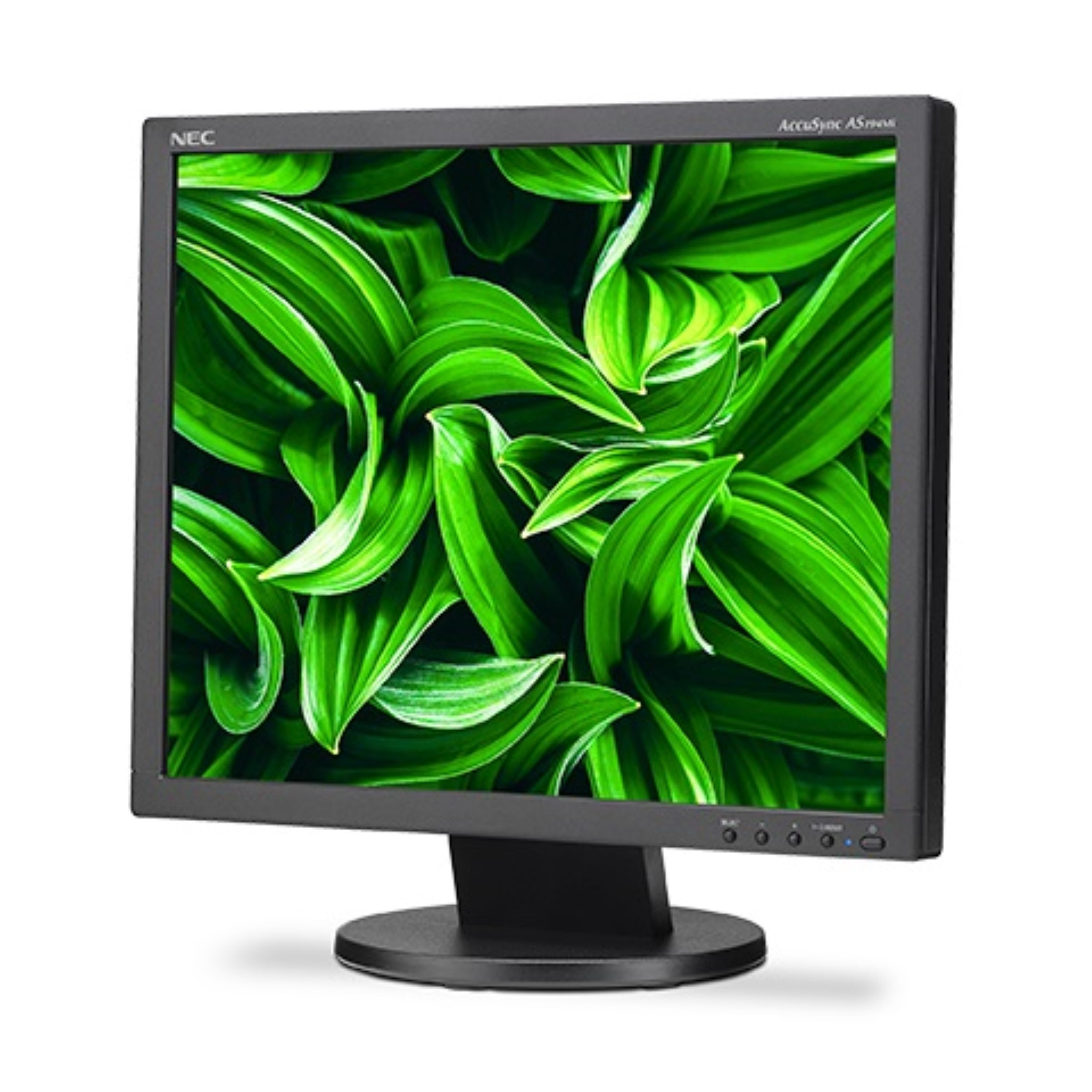 NEC Display AccuSync AS194MI-BK 19" Class SXGA LCD Monitor - 5:4 - 19 ...