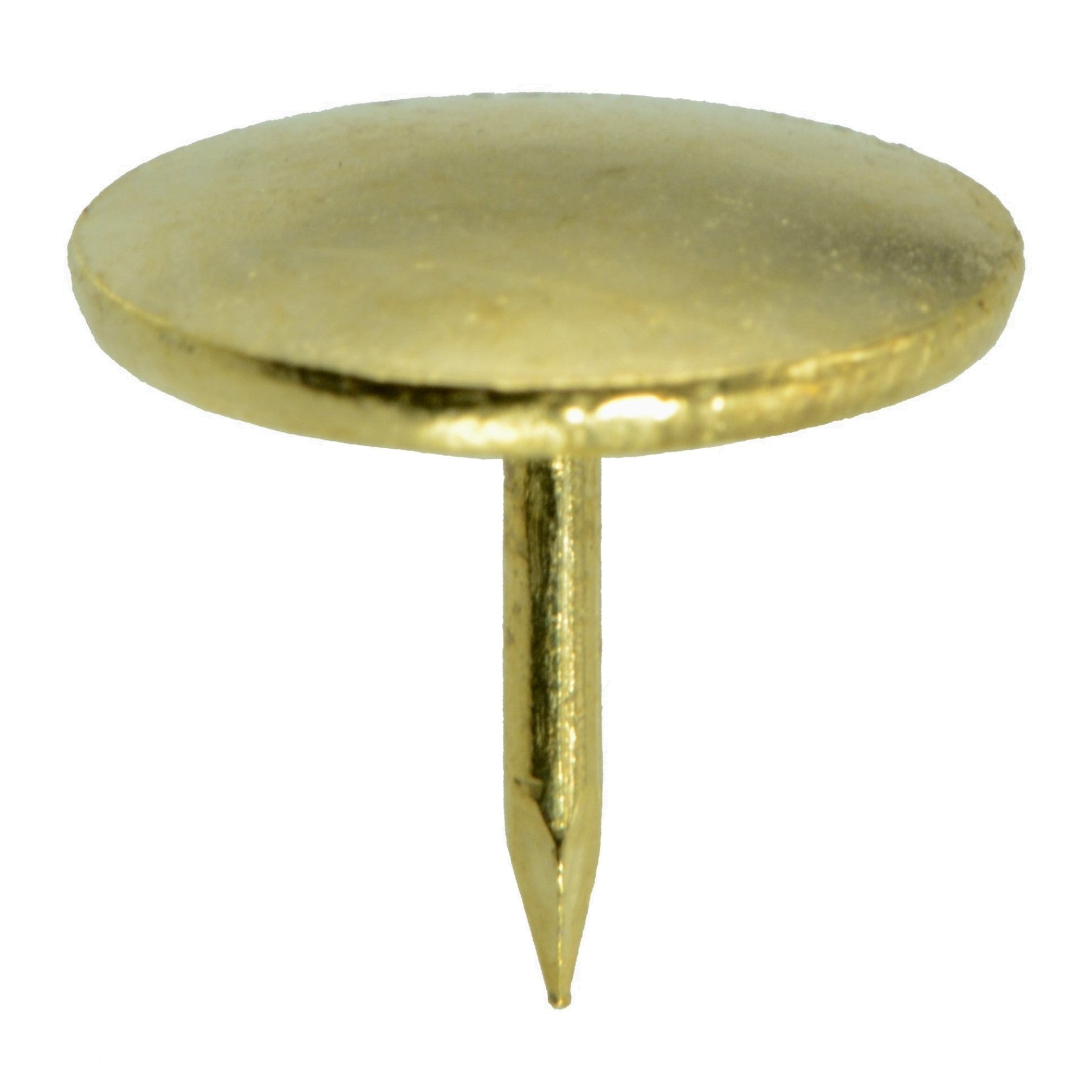 19 gauge x 0.4" Brass Thumb Tacks - Walmart.com
