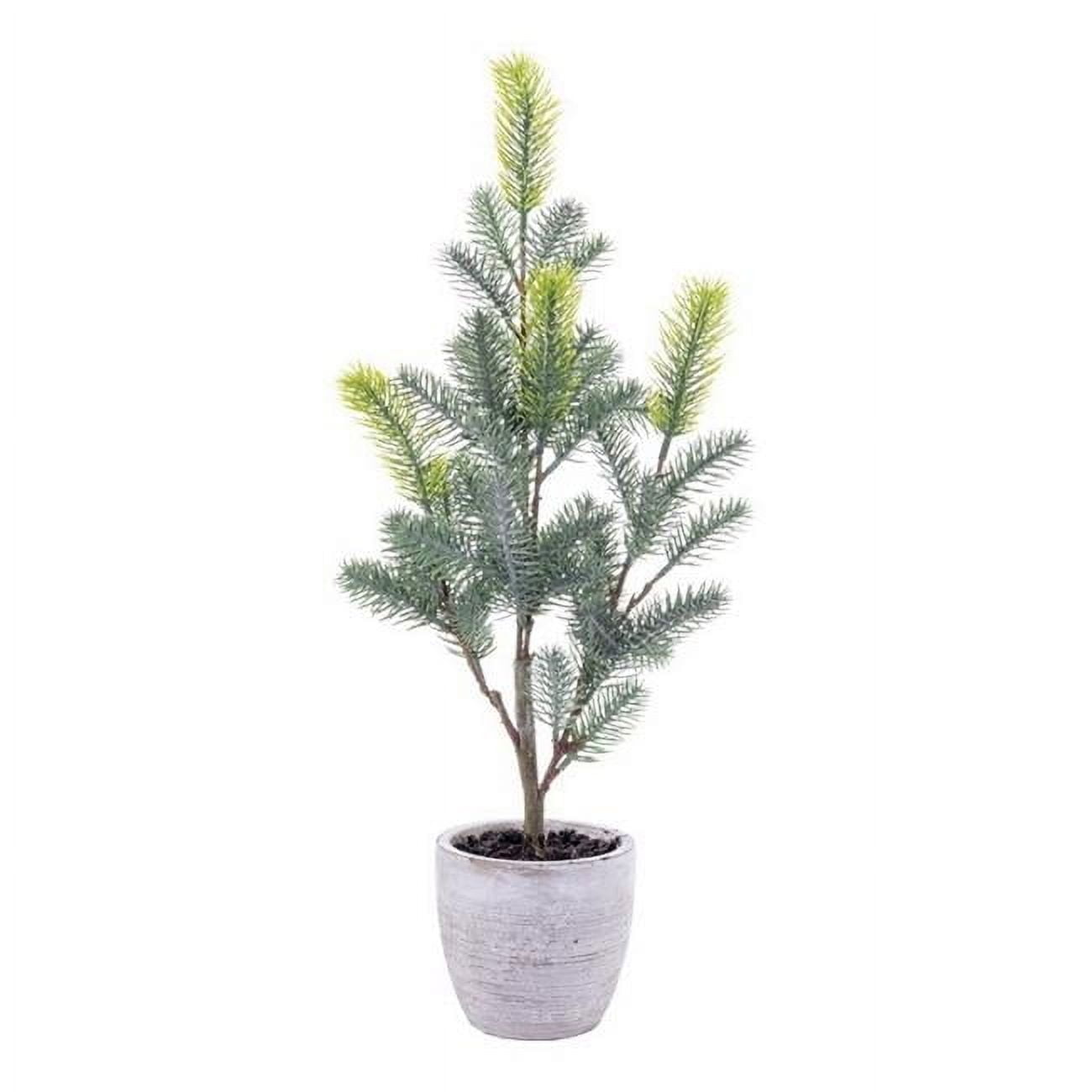 Dare2Decor, 19 in Blue Spruce Sapling Potted, Artificial Small Indoor ...