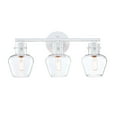 19 in. White 3 Light Bathroom Vanity Light Fixture with Clear Glass ...