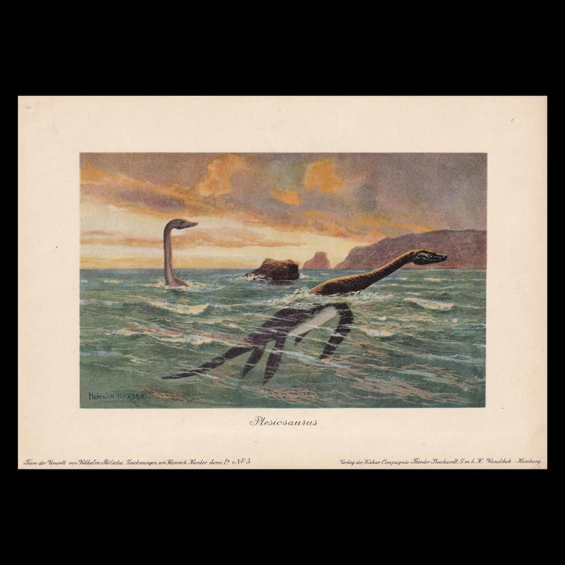 1902 Plesiosaurus Antique Dinosaur Print, Unframed Paper Poster 11x14in ...