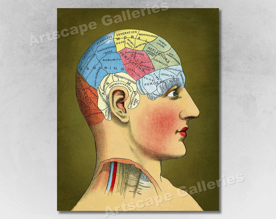 1914 Phrenology Chart Odd Unusual Vintage Style, Unframed Poster ...