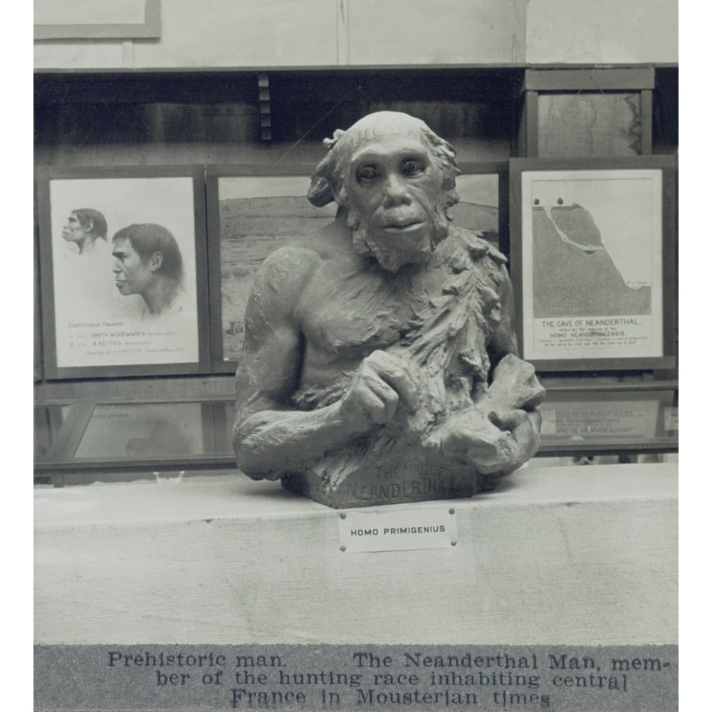 1920S Conjectural Creation Of A Neanderthal Man. 90 Years After This ...