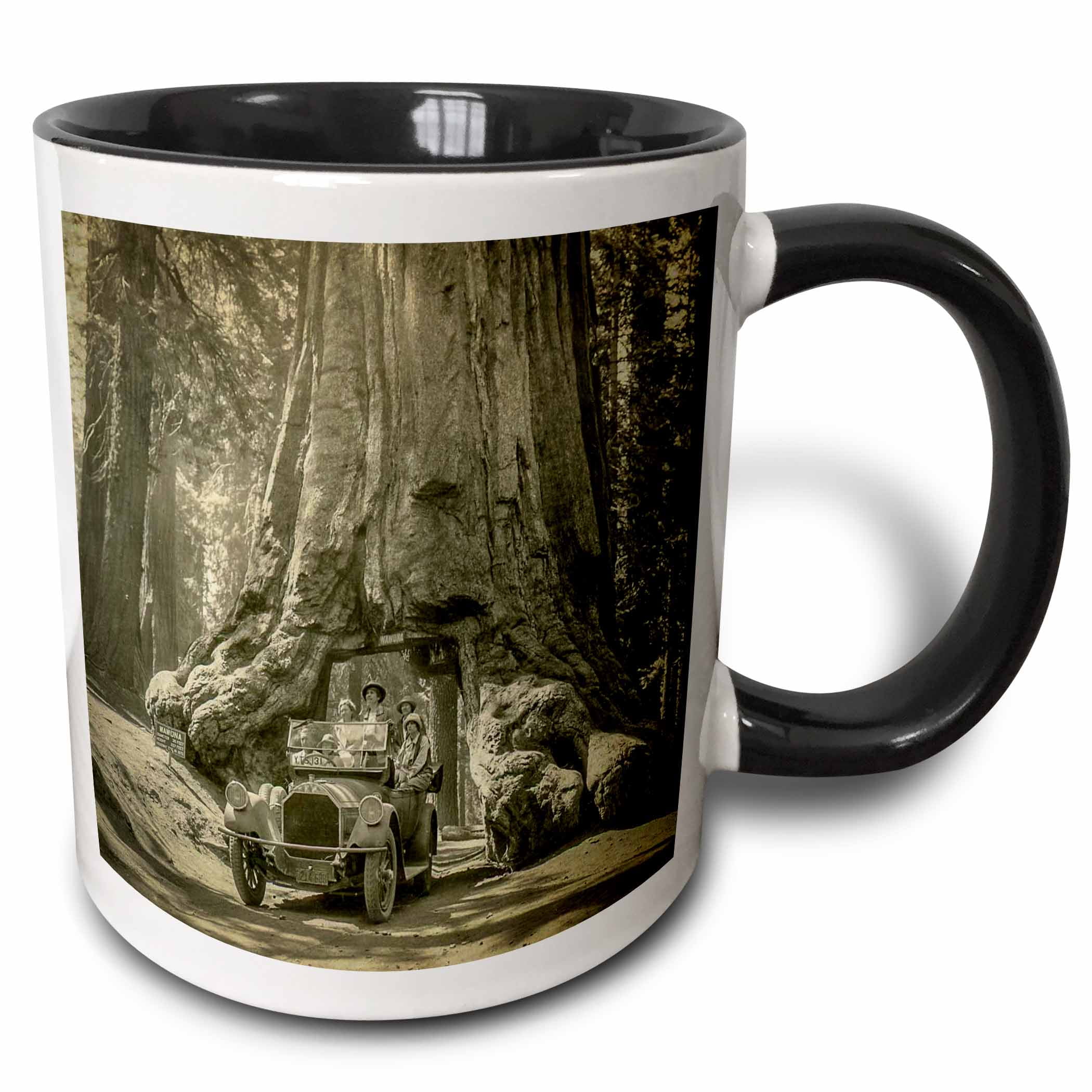 3drose, 1920s Tourists Driving Through Wawona Tunnel Tree Giant Sequoia ...