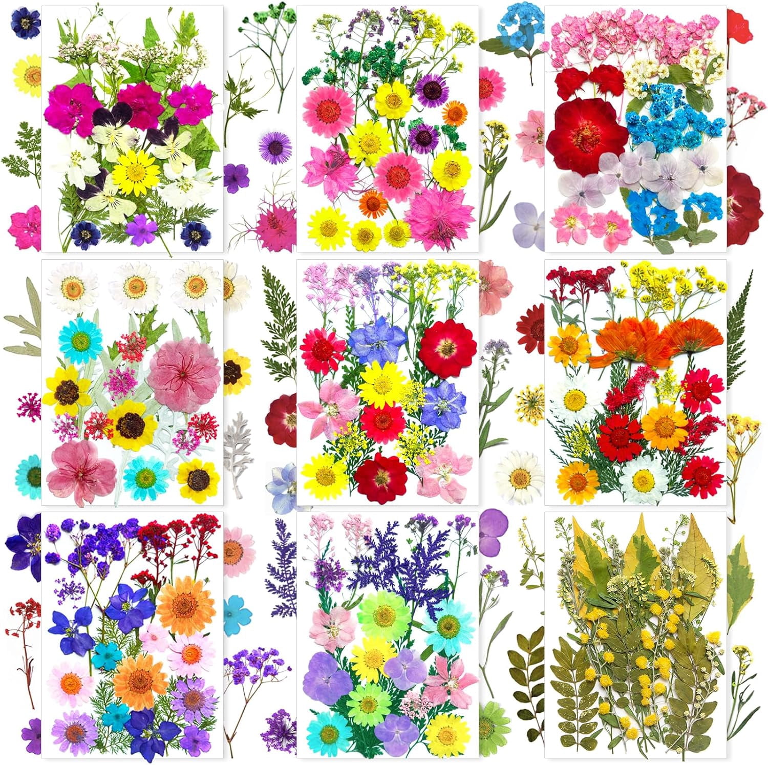 192Pcs Dried Pressed Flowers for Resin, Assorted Real Natural Bulk Dry ...
