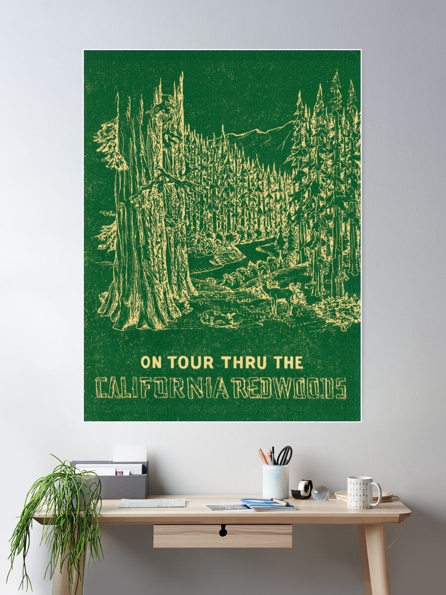 1935 California Redwoods Poster Wall Art, Modern Wall Decor For Living ...