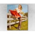 1950's "On the Fence" Vintage Style Elvgren Pin-Up Girl Uprt, Unframed ...