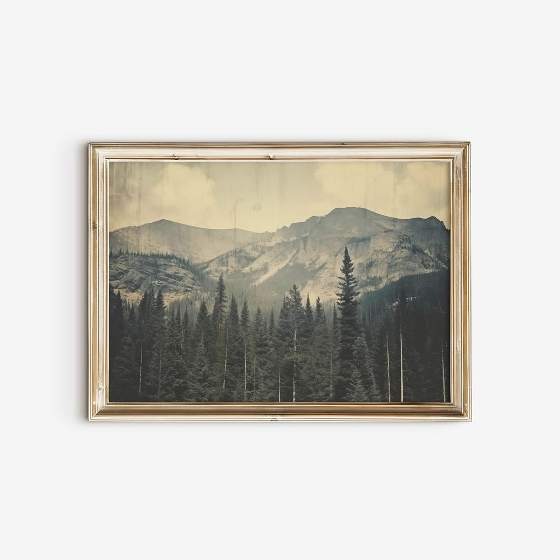 1950S Vintage Photography Style Mountain Pine Tree Landscape Print ...