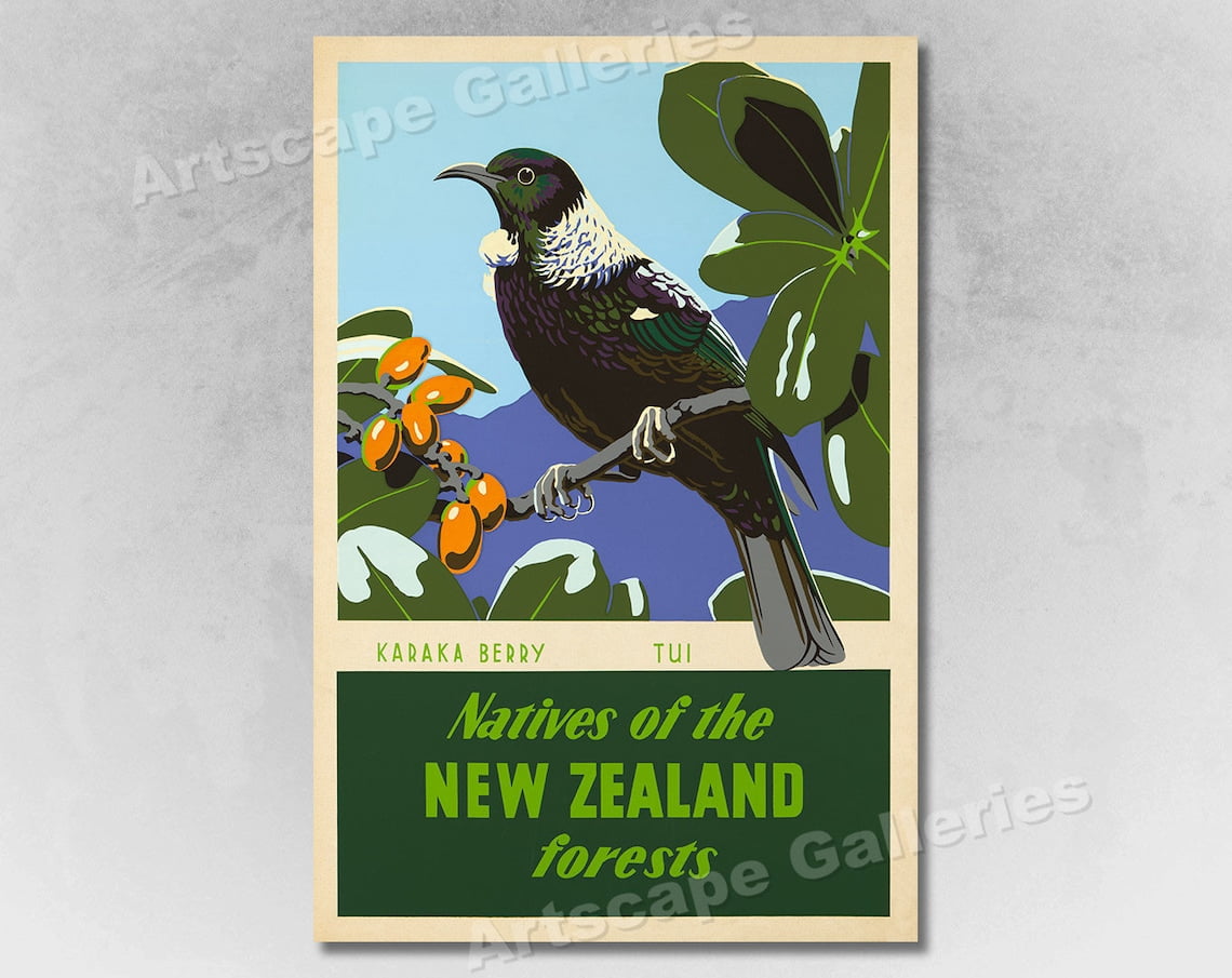 1950s New Zealand Forest Tui Bird Vintage Style Travel, Unframed Poster ...
