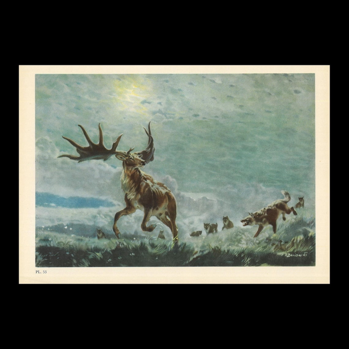 1960 Irish Elk Prehistoric Print, Unframed Paper Poster 11x14in ...