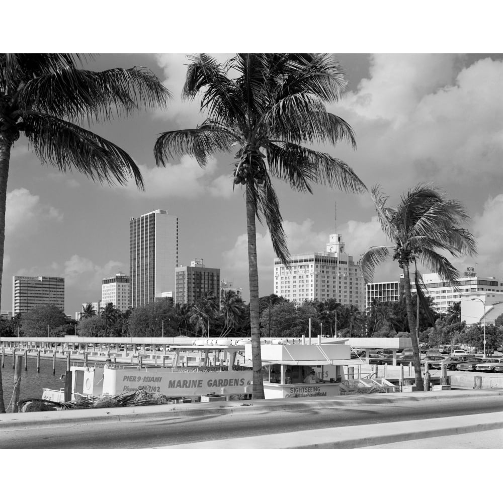 1970s Sightseeing Boat At Pier Day Light Skyline Palm Trees Miami ...