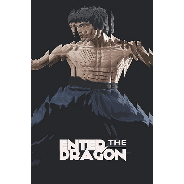 1973 Enter the Dragon Movie Poster 24x36 Bruce Lee Action Martial Arts ...