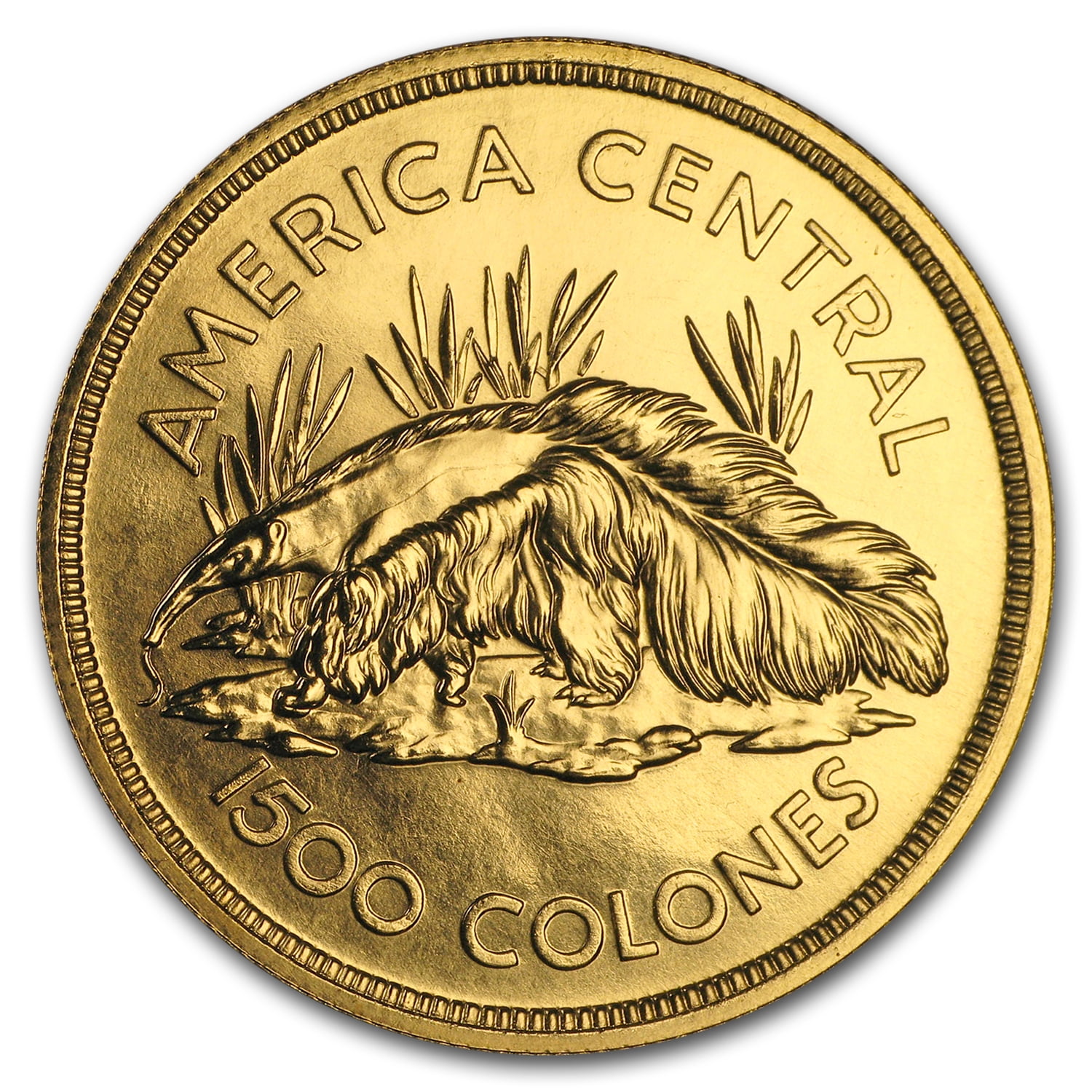 1974 Costa Rica Gold 1500 Colones Anteater BU - Walmart.com