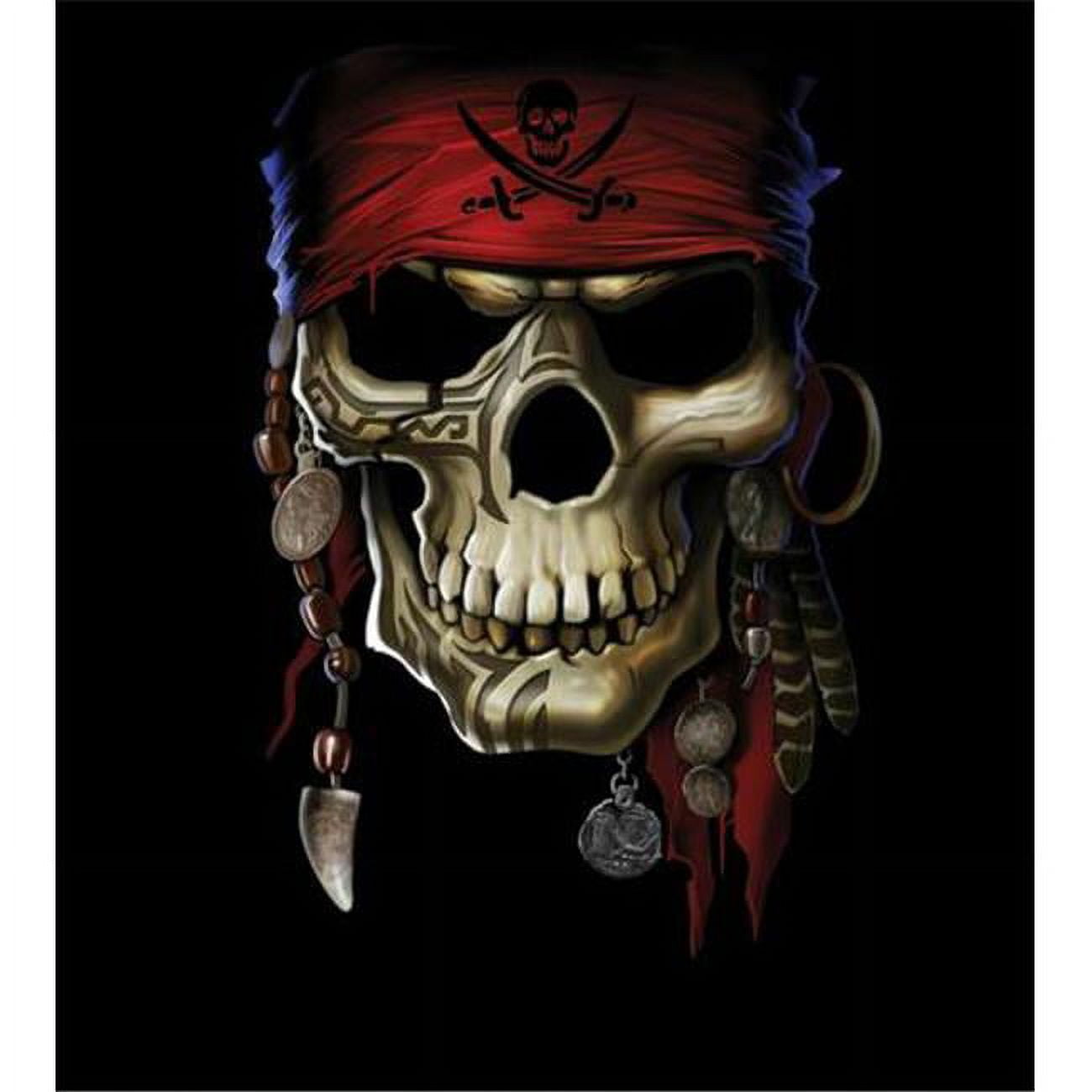 1976-16x20-SD Skull Pirate Poster - Walmart.com