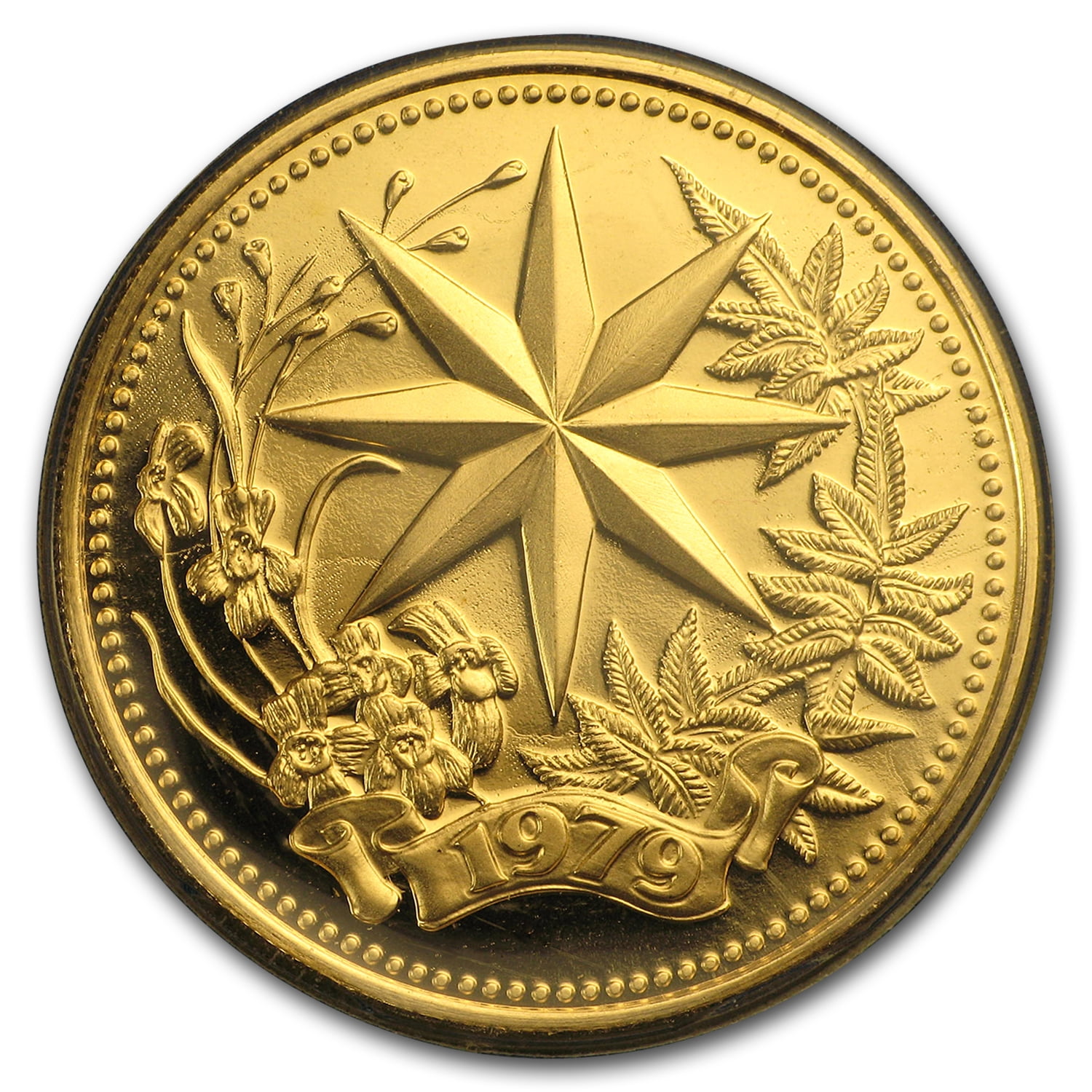 1979 Belize Proof Gold 100 Dollar Star of Bethlehem - Walmart.com