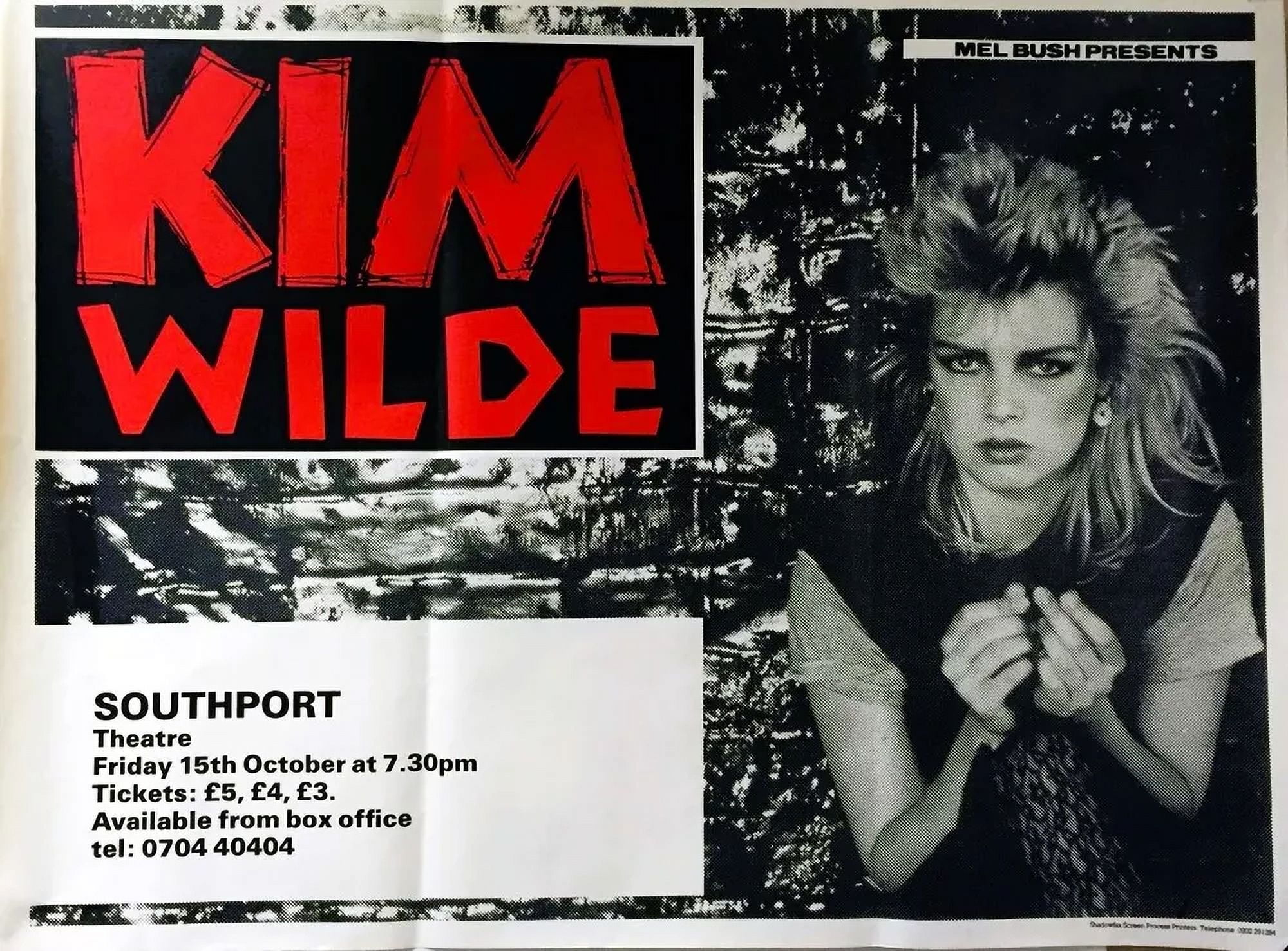 1982 KIM WILDE CONCERT POSTER WALL ART PRINT ES SOUTHPORT 24 x 36 Inch ...