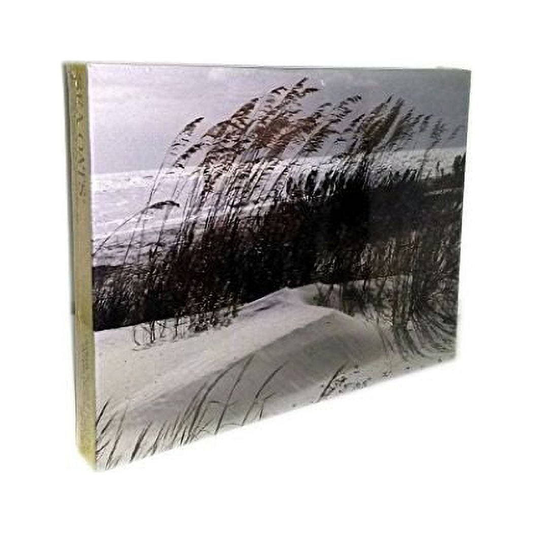 1991 Claude Haycraft Photograpy Sea Oats 550 Piece Jigsaw Puzzle By ...