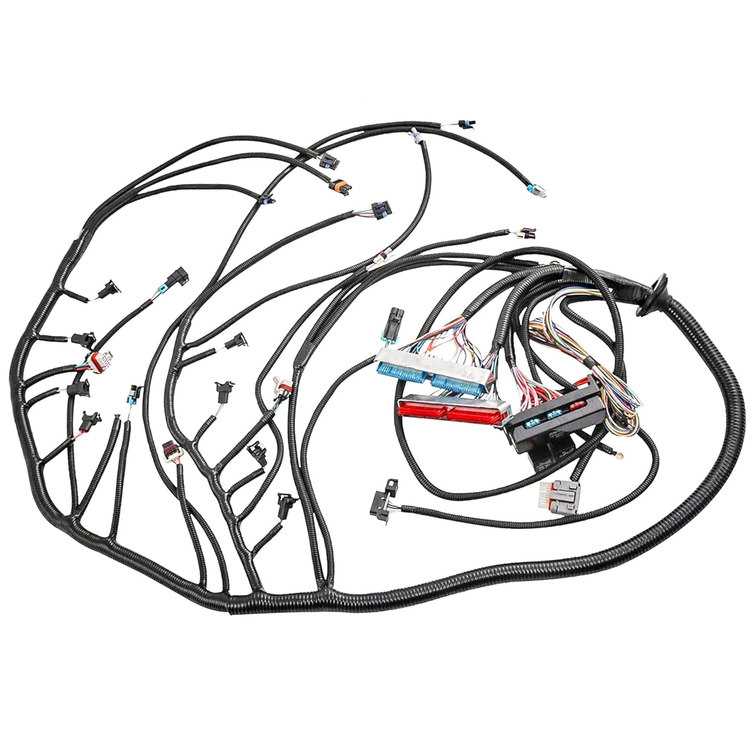 1997-2006 LS1 Standalone Wire Harness DBC 4.8L 5.3L 6.0L, Wiring ...