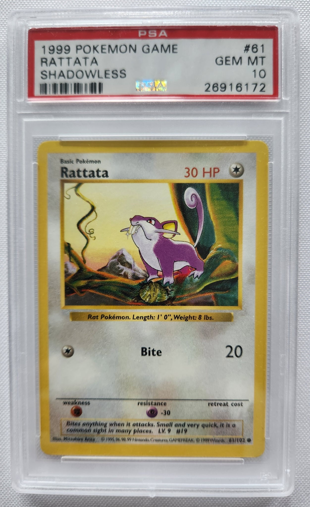 Rattata Pokemon Card
