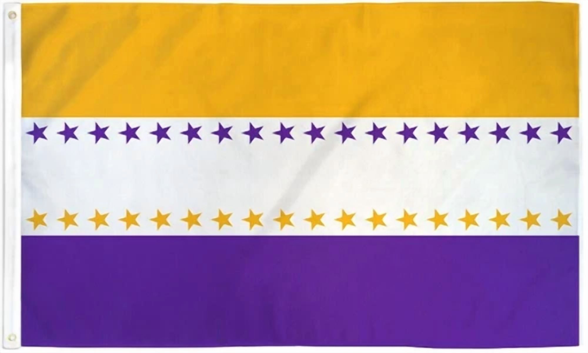 19Th Amendment Flag 3X5Ft Women'S Rights Suffrage Suffragette ...