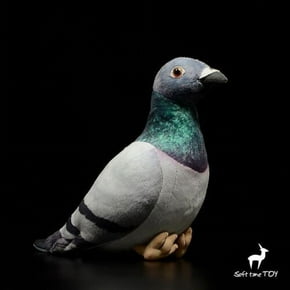 Pigeon Doll