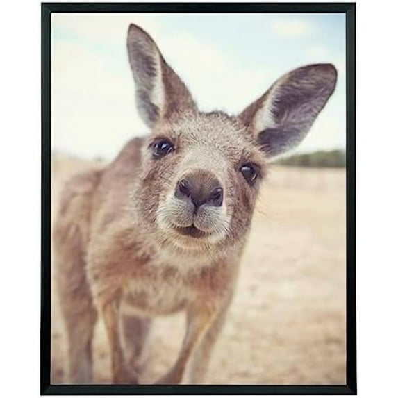 19x21 Picture Frame Solid Wood 19x21 Poster Frame for Wall 19x21Photo ...