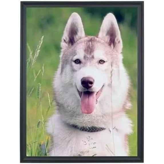 19x24 Picture Frames Solid Wood 19x24 Photo Frame 19x24Poster Frames ...