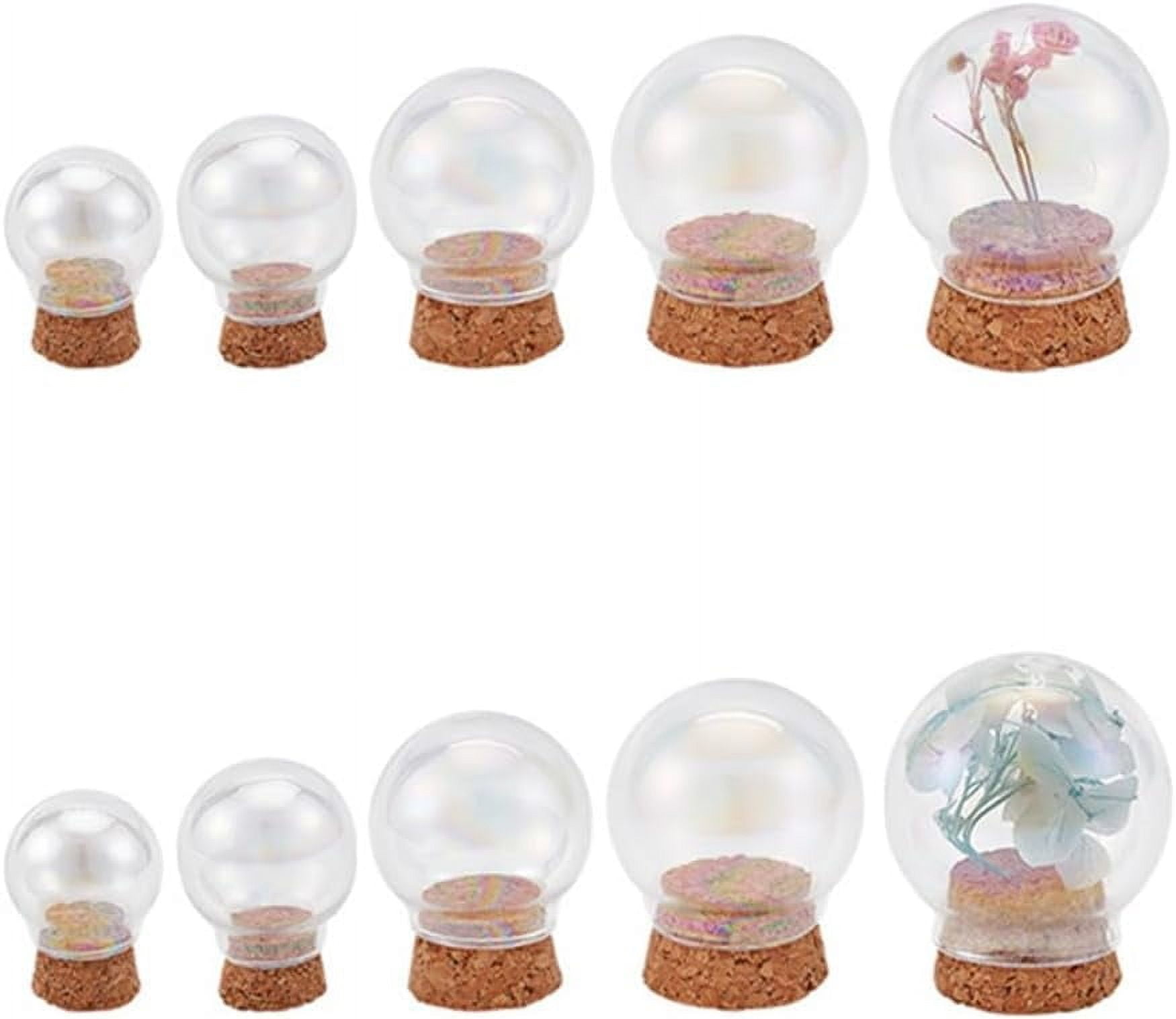 1Bags 5 Sets Glass Dome Cloches Glass Round Shape Display Showcase ...