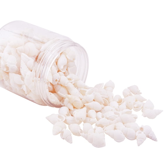 1Box 1 Box Spiral Sea Shell Dyed Beads and Charms with Holes for ...