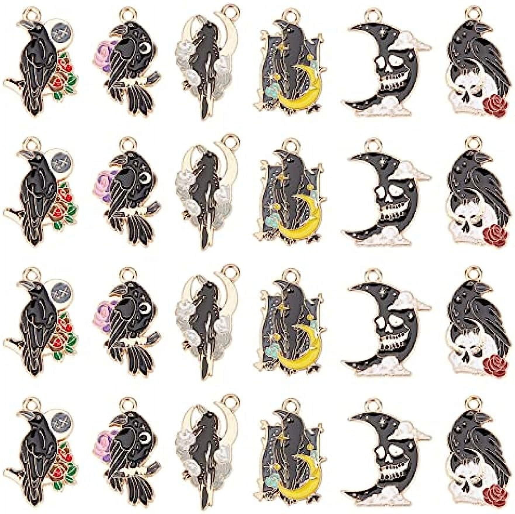 1Box 24Pcs Gothic Charms Bulk Crow Charms Enamel Raven Black Bird Skull ...