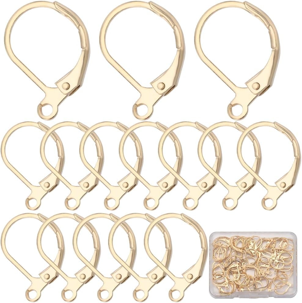 1Box 60Pcs Real 24K Gold Plated Earring Hooks 304 Stainless Steel ...