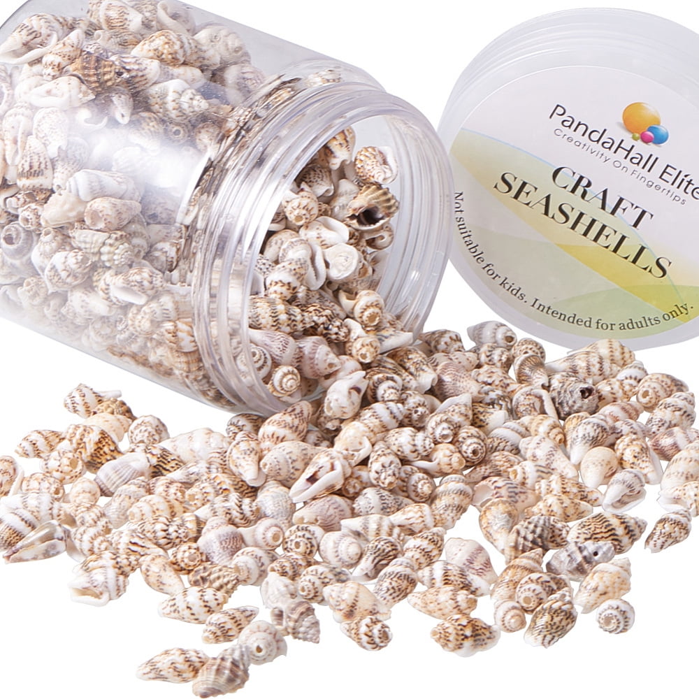 1Box Natural Spiral Shell Beads Wheat 11~18x6~9x5~7.5mm Hole: 1mm about ...