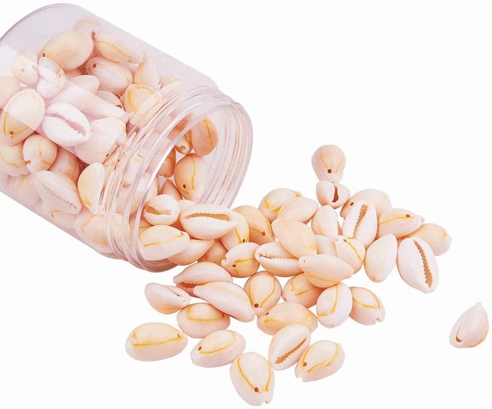 1Box of Lot of 90-110 Cowrie Cowry Seashells Oval Spiral Shells with ...
