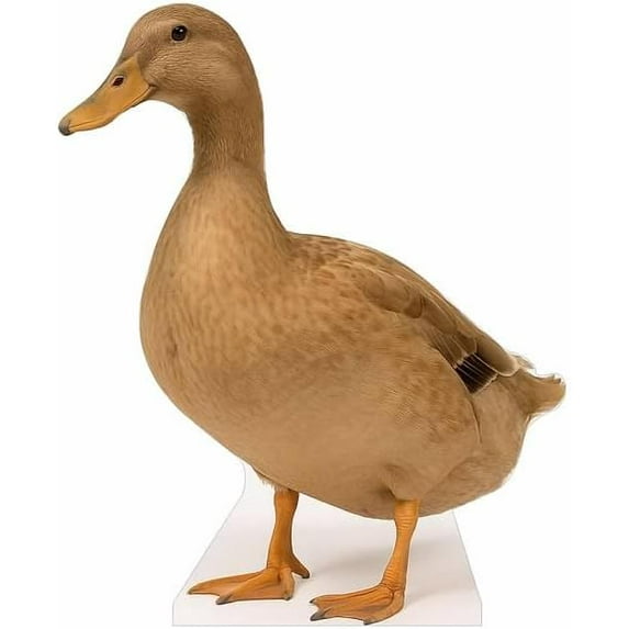 1FT Life Size Cardboard Cutout – Farm Animal Fun Standup for Photo ...