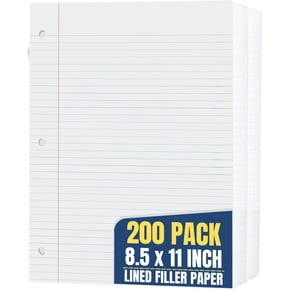 3 Hole Punched Paper