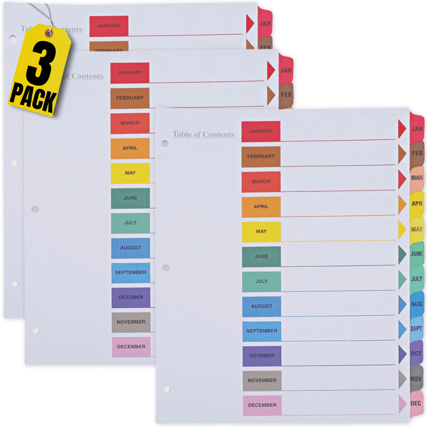 1InTheOffice Monthly Dividers for 3 Ring Binder, Monthly Dividers, Monthly Binder Dividers with ...
