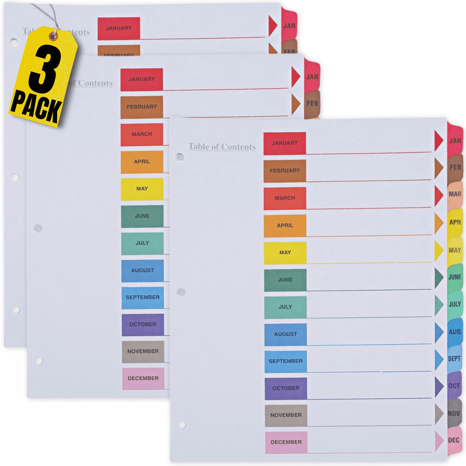 1InTheOffice Monthly Dividers for 3 Ring Binder, Monthly Dividers ...