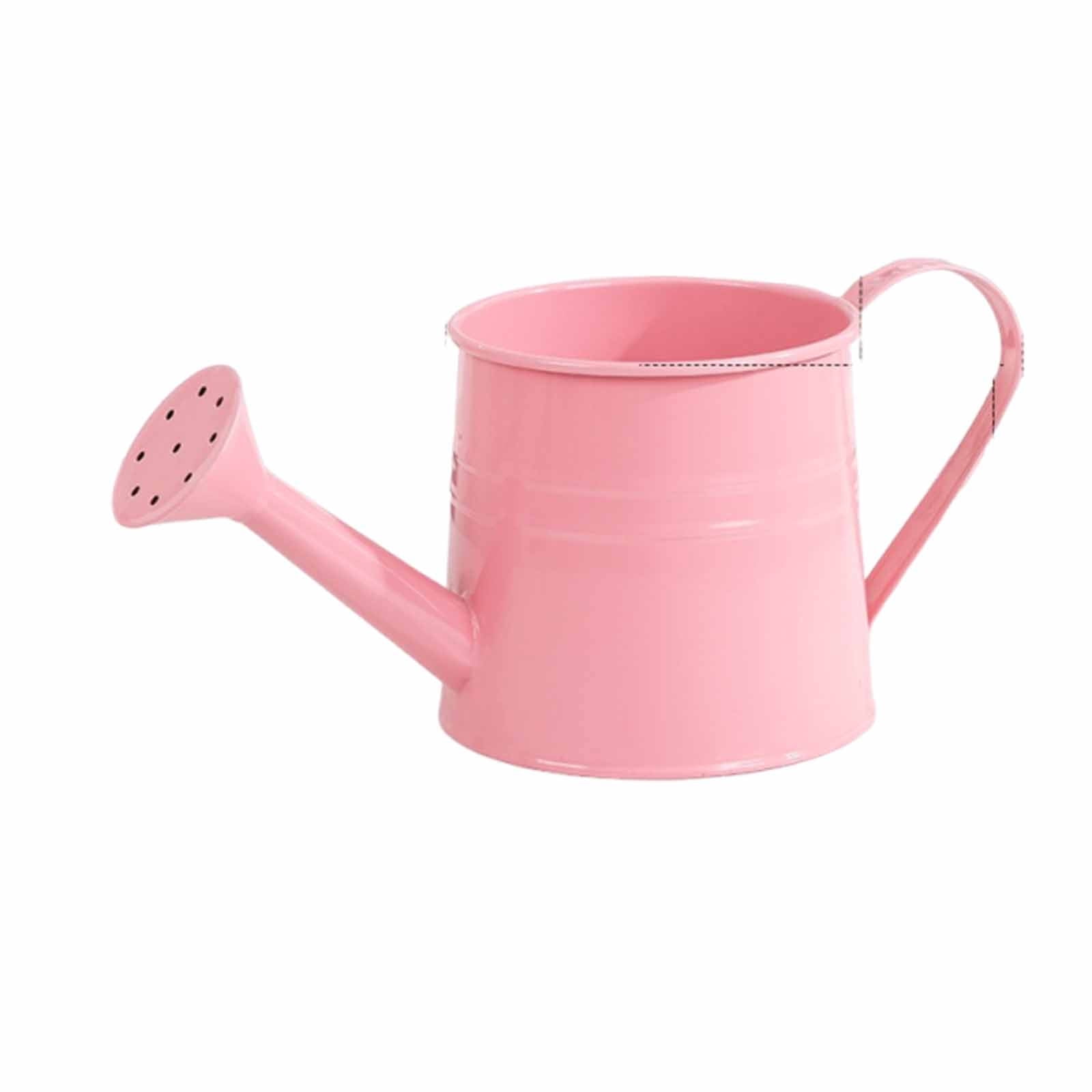 1L Metal Watering Can, 29.5cm Small Colorful Watering Pot with Long ...