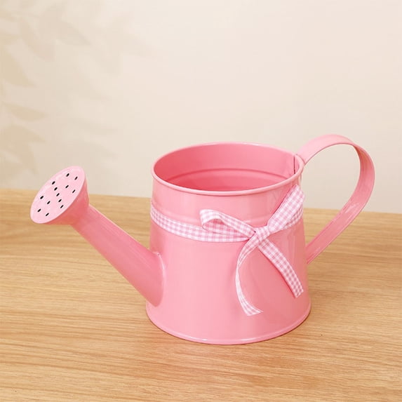 1L Metal Watering Can Garden Sprinkling Can Indoor Outdoor Plant ...