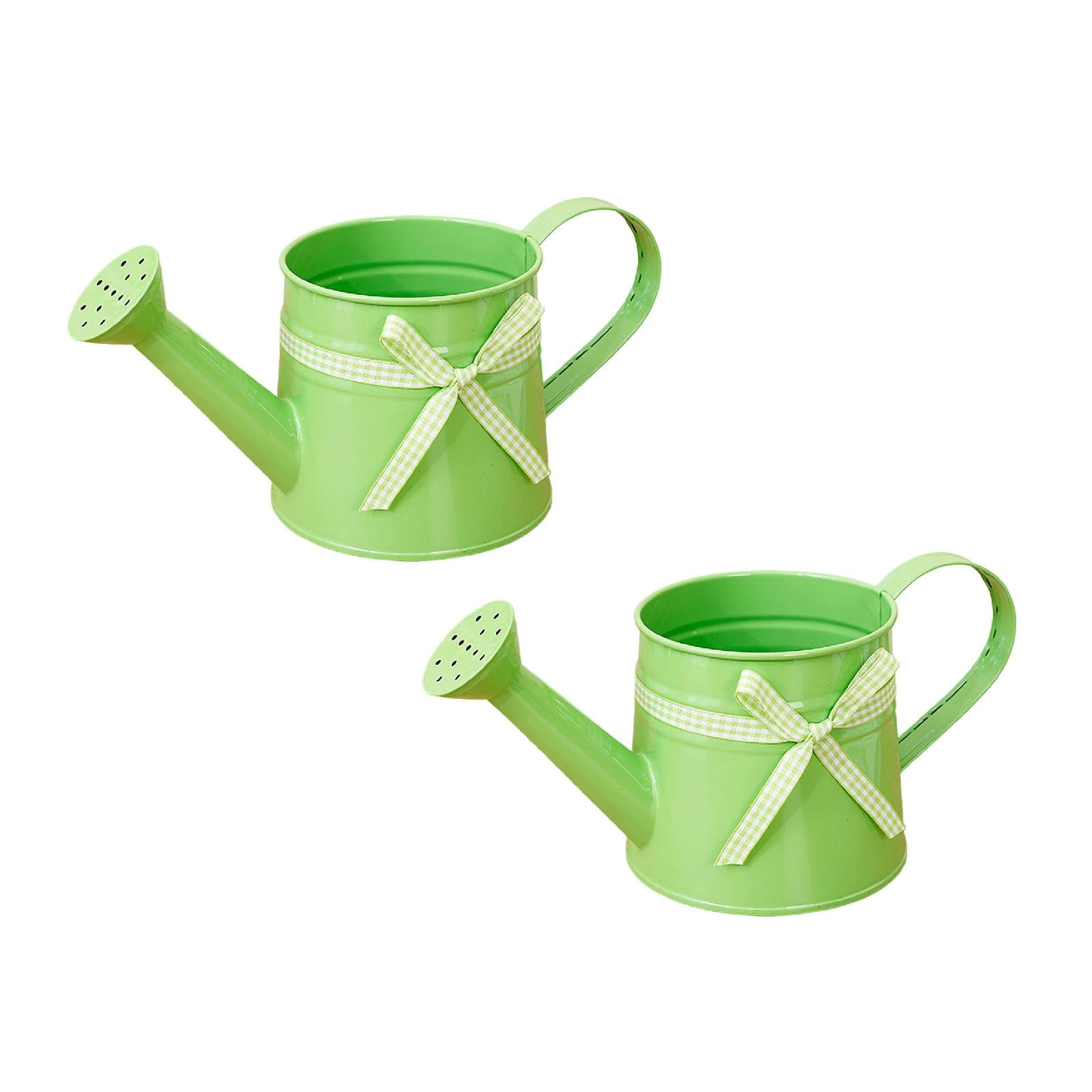 1L Metal Watering Can for Outdoor Indoor Plants, Gardening Tool ...